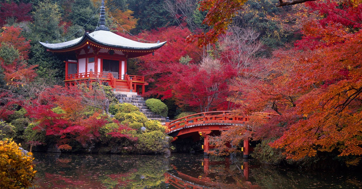 Giappone - Turista Curioso