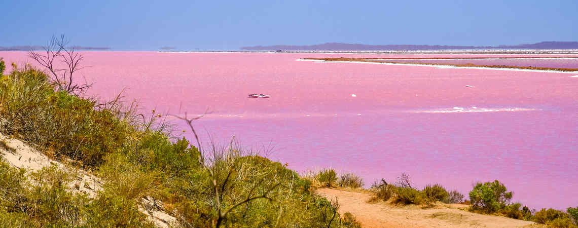 Lago Rosa, lo spettacolo naturale del lago Hillier, spettacolare